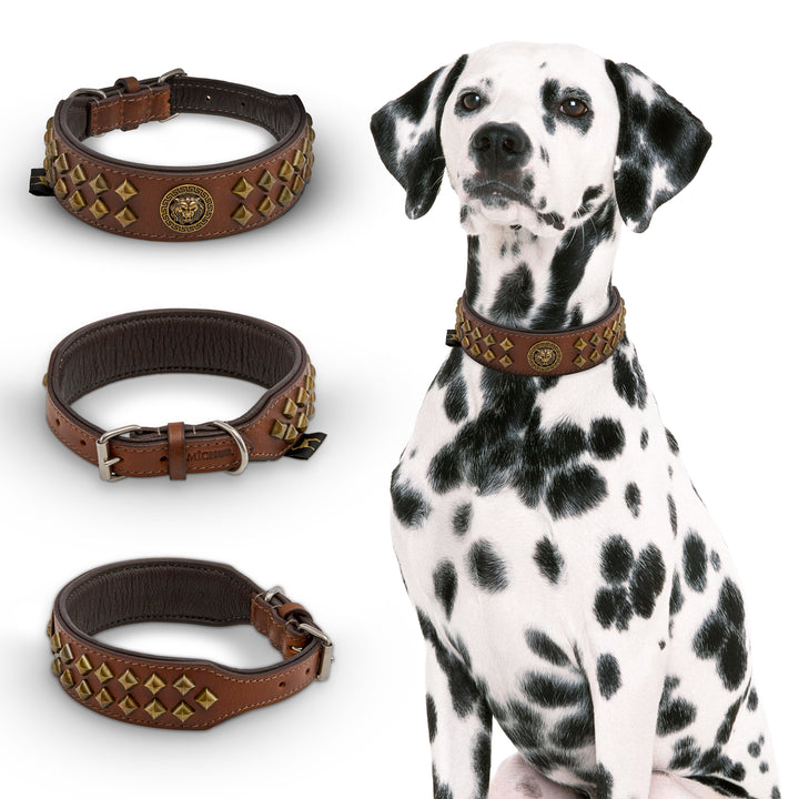 Hundehalsband kaufen - hochwertig & aus Leder | Michur – Michur Official