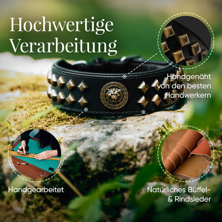 Hundehalsband kaufen - hochwertig & aus Leder | Michur – Michur Official